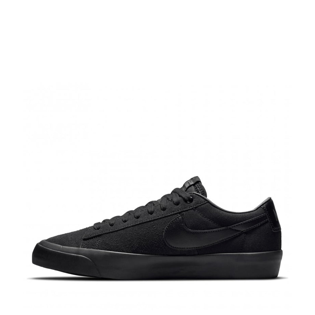 Nike SB Shoes – Common Ground