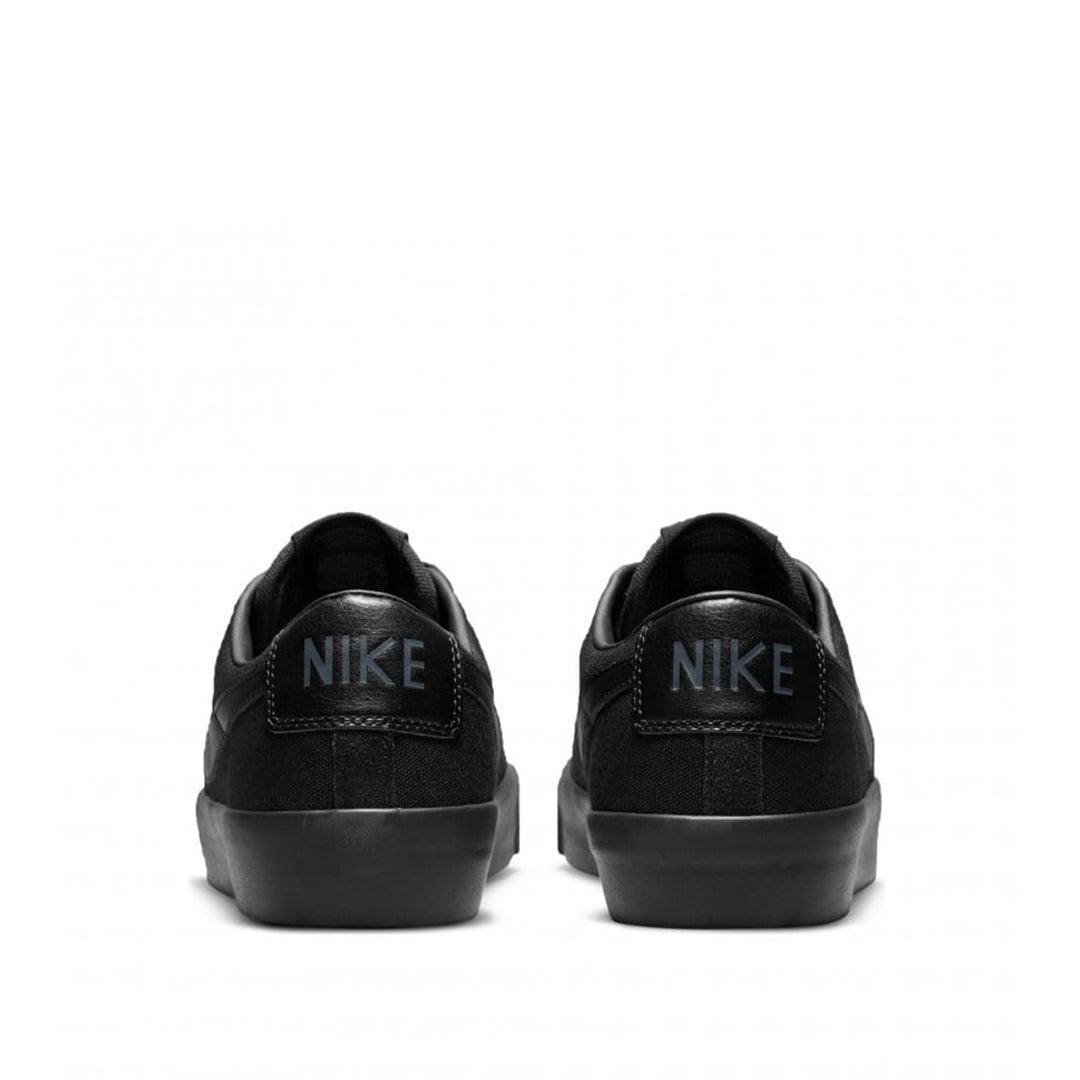 Nike SB Shoes – Common Ground
